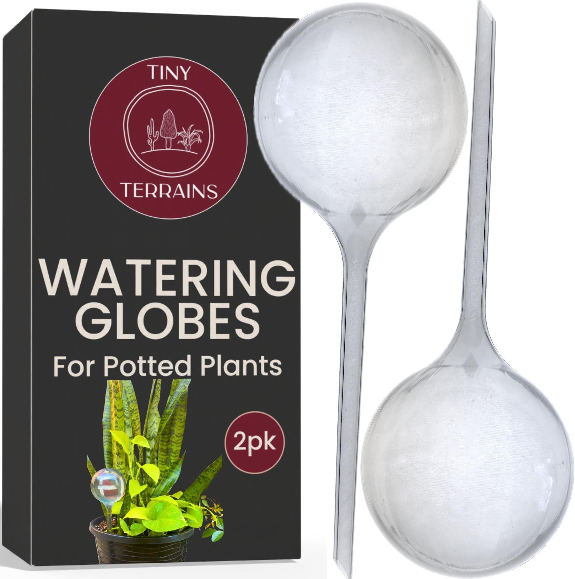 Amazon.com: Set of 2 Tulip-Shaped Watering Globes – Effortless Self ...