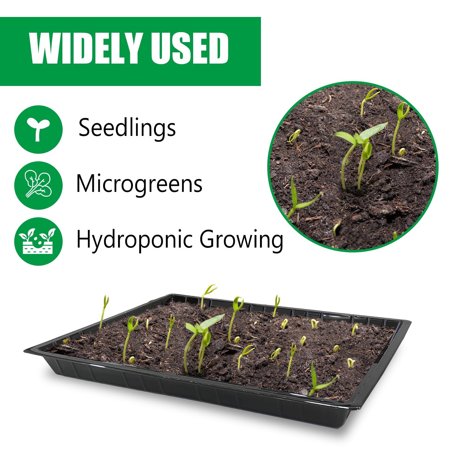 Snapklik.com : RooTrimmer Grow-Green 10-Pack Microgreens Seed Starter ...
