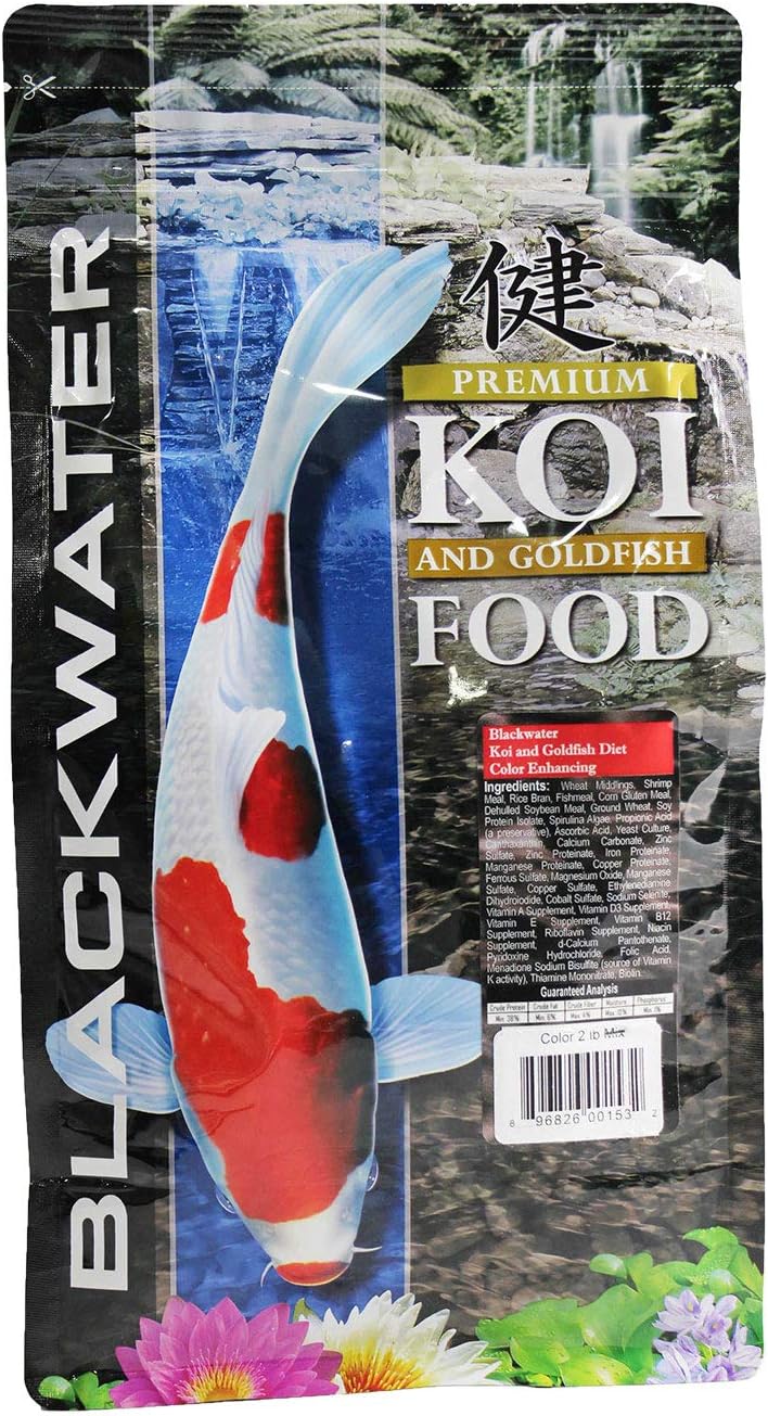 Amazon.com: Blackwater Premium Koi and Goldfish Foods Color Enhancing ...