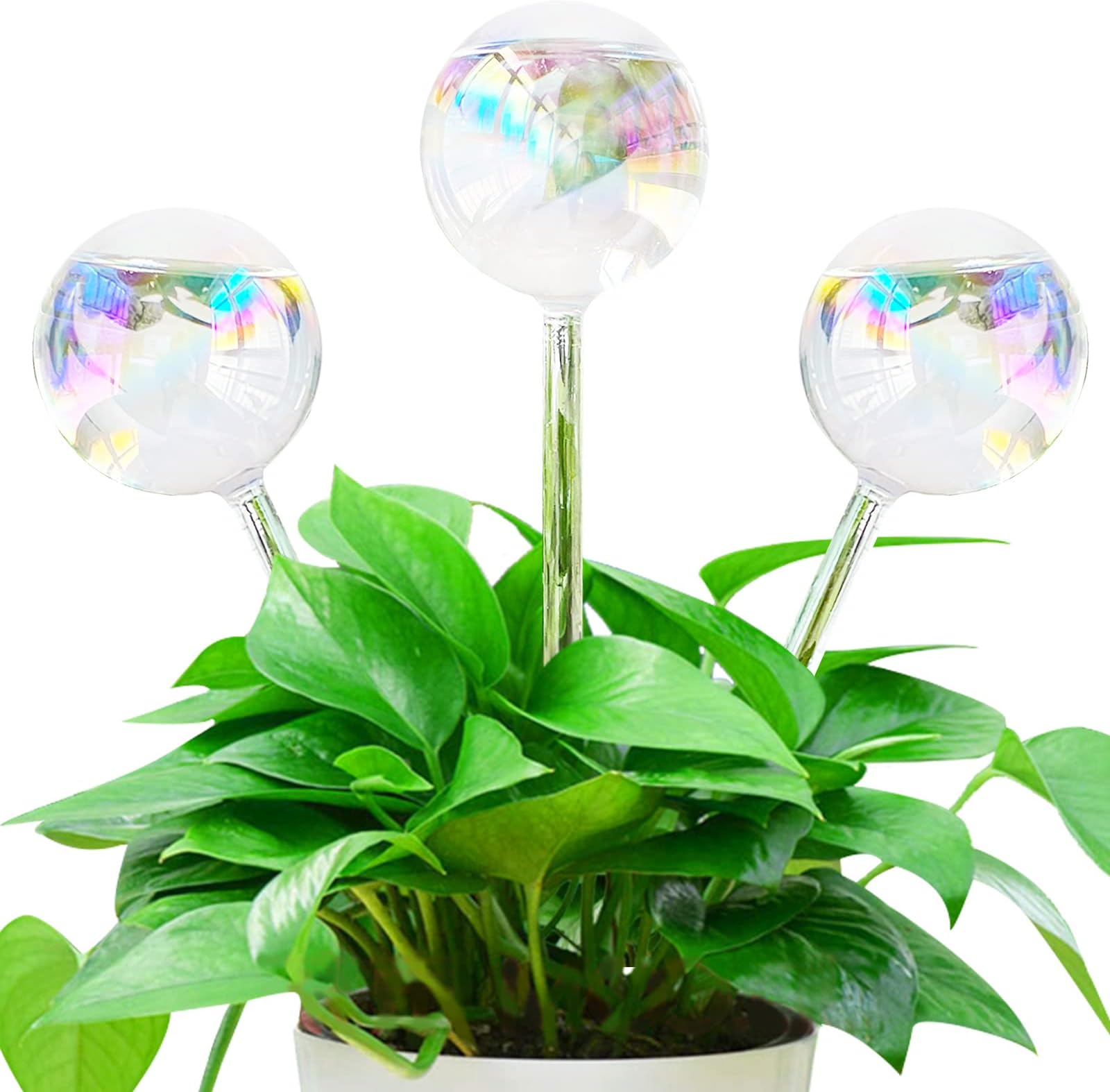 Amazon.com: KBCSUN 2pcs Plant Watering Globes, Glass Mushroom Self ...