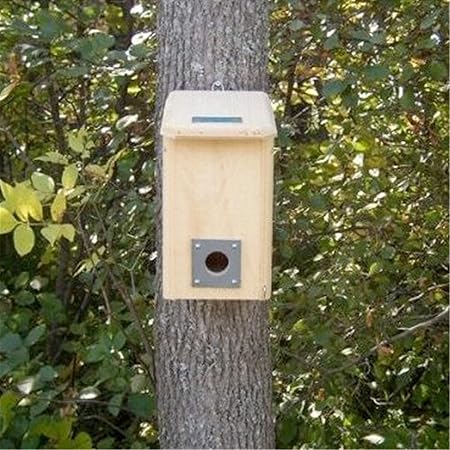 Amazon.com : Coveside Small Winter Roost. Safe Bird House for ...