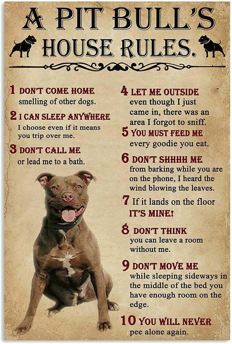 Amazon.com: HERYNLRN Retro Tin Signs Vintage Style A Pit Bull House ...