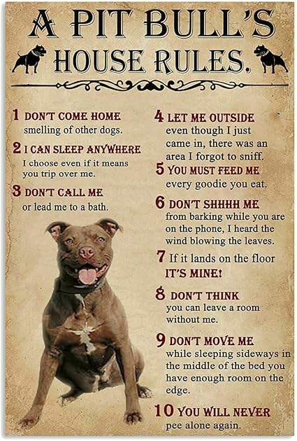 Amazon.com: HERYNLRN Retro Tin Signs Vintage Style A Pit Bull House ...