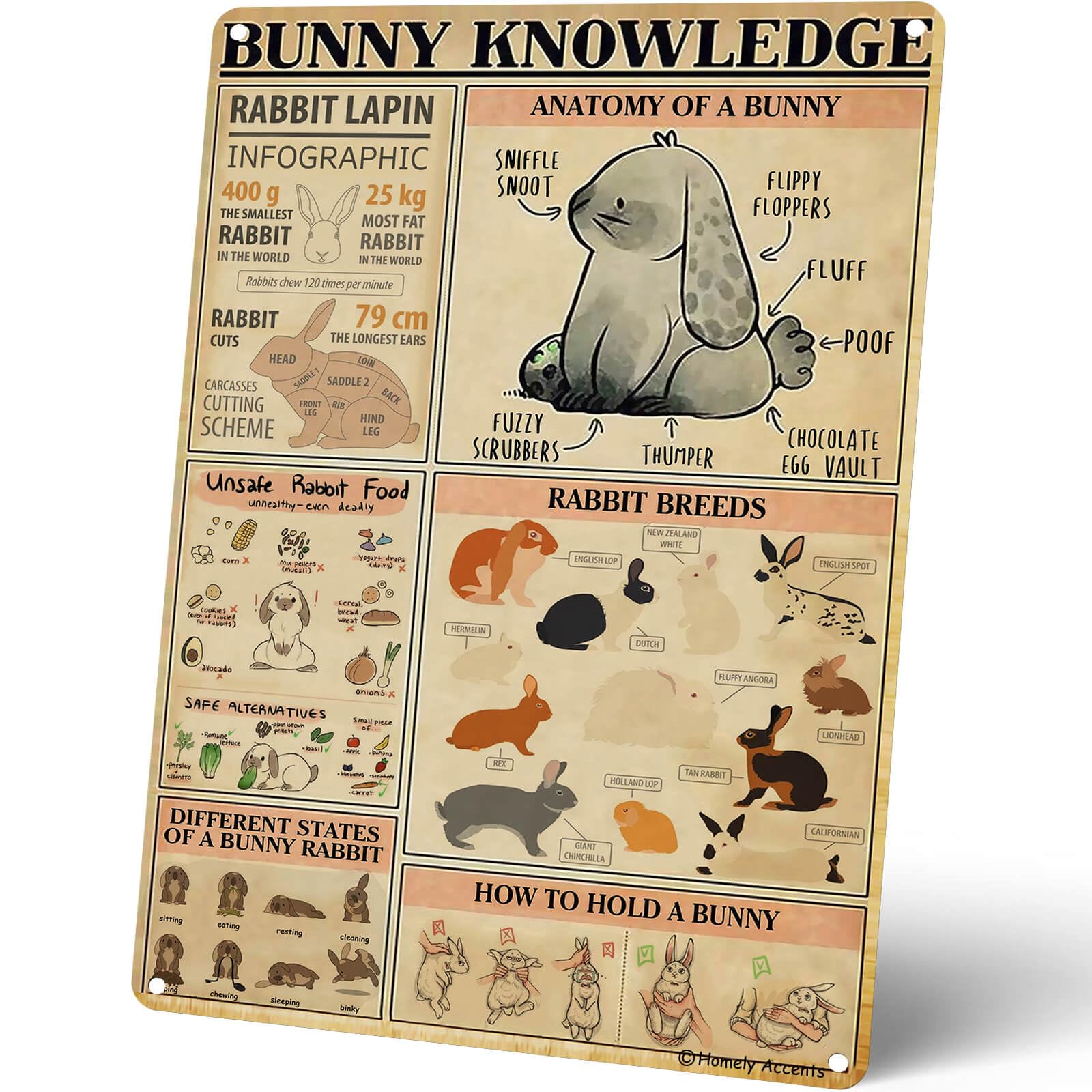 Amazon.com: Homely Accents Bunny Knowledge Poster Vintage Metal Tin ...