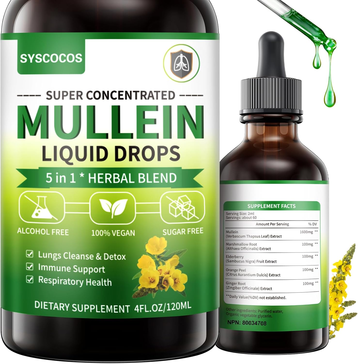 Amazon.com: SYSCOCOS 5 in 1 Mullein Drops for Lungs - 1600mg Organic ...