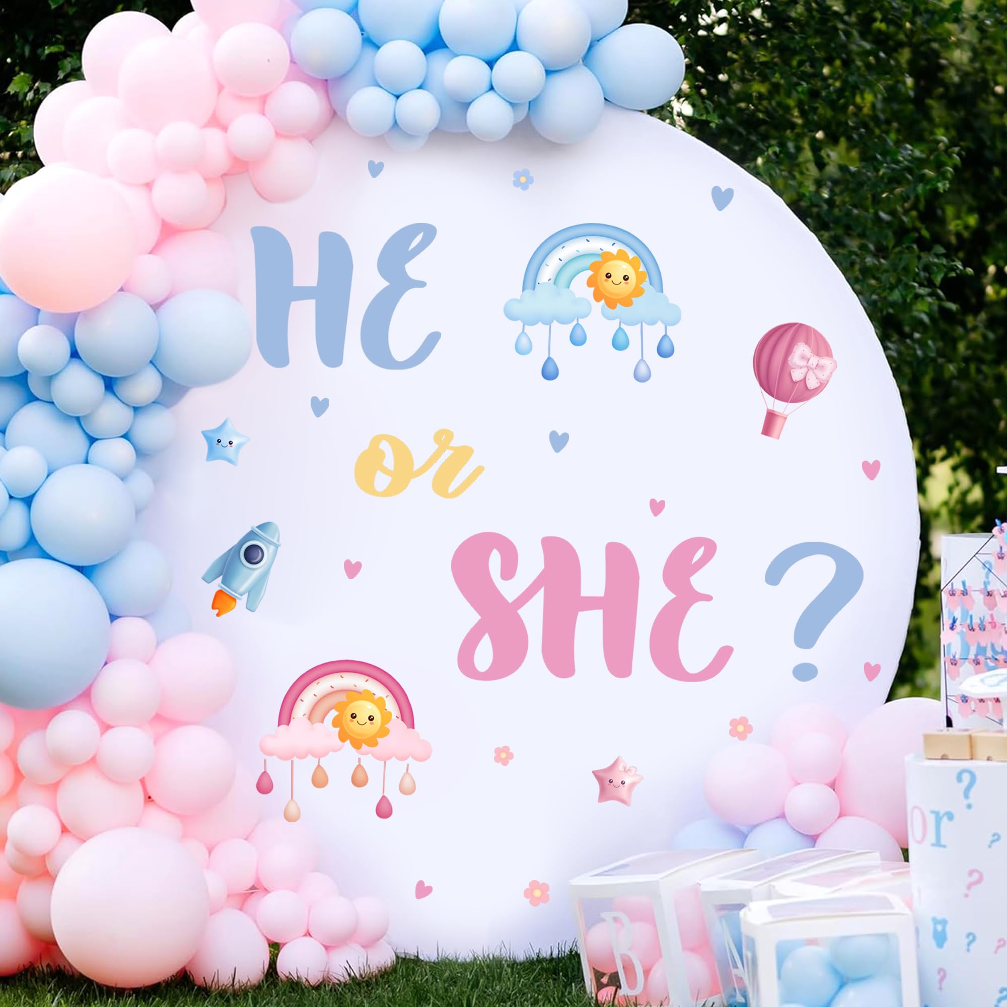 Amazon.com: He or She Sign Decals Baby Shower Party Sign Decor for ...