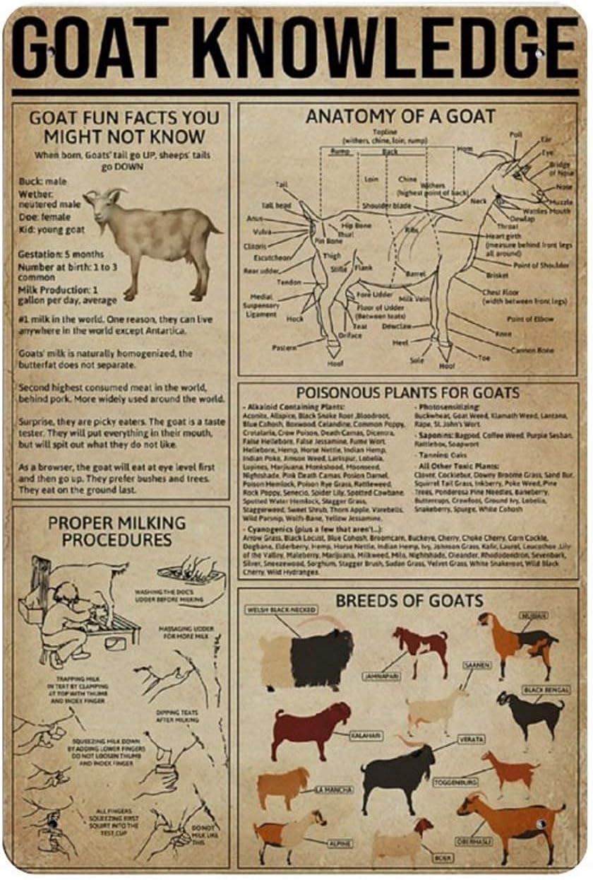 Amazon.com: Goat Knowledge Metal Tin Signs Breeds Of Goats Poster ...