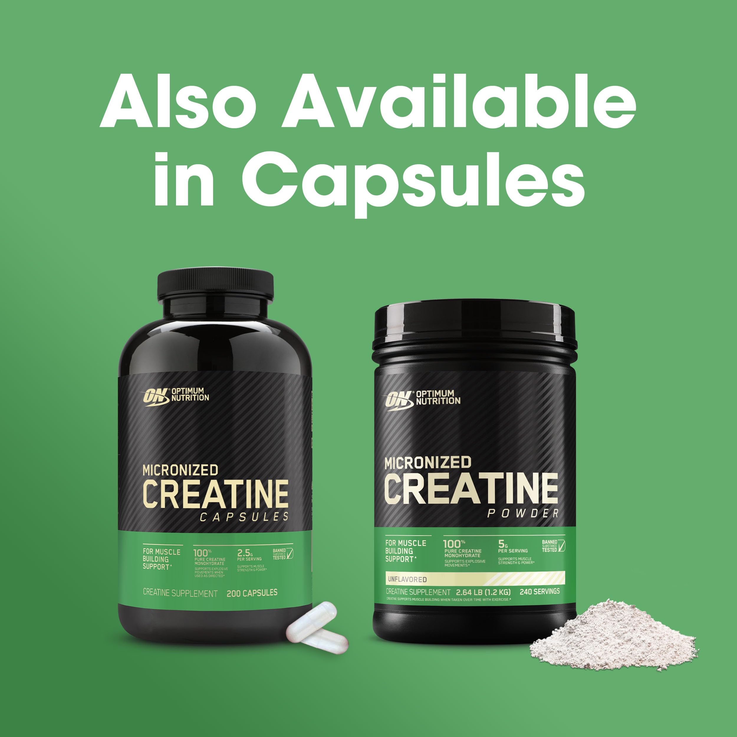Optimum Nutrition Micronized Creatine Price In India Buy Optimum