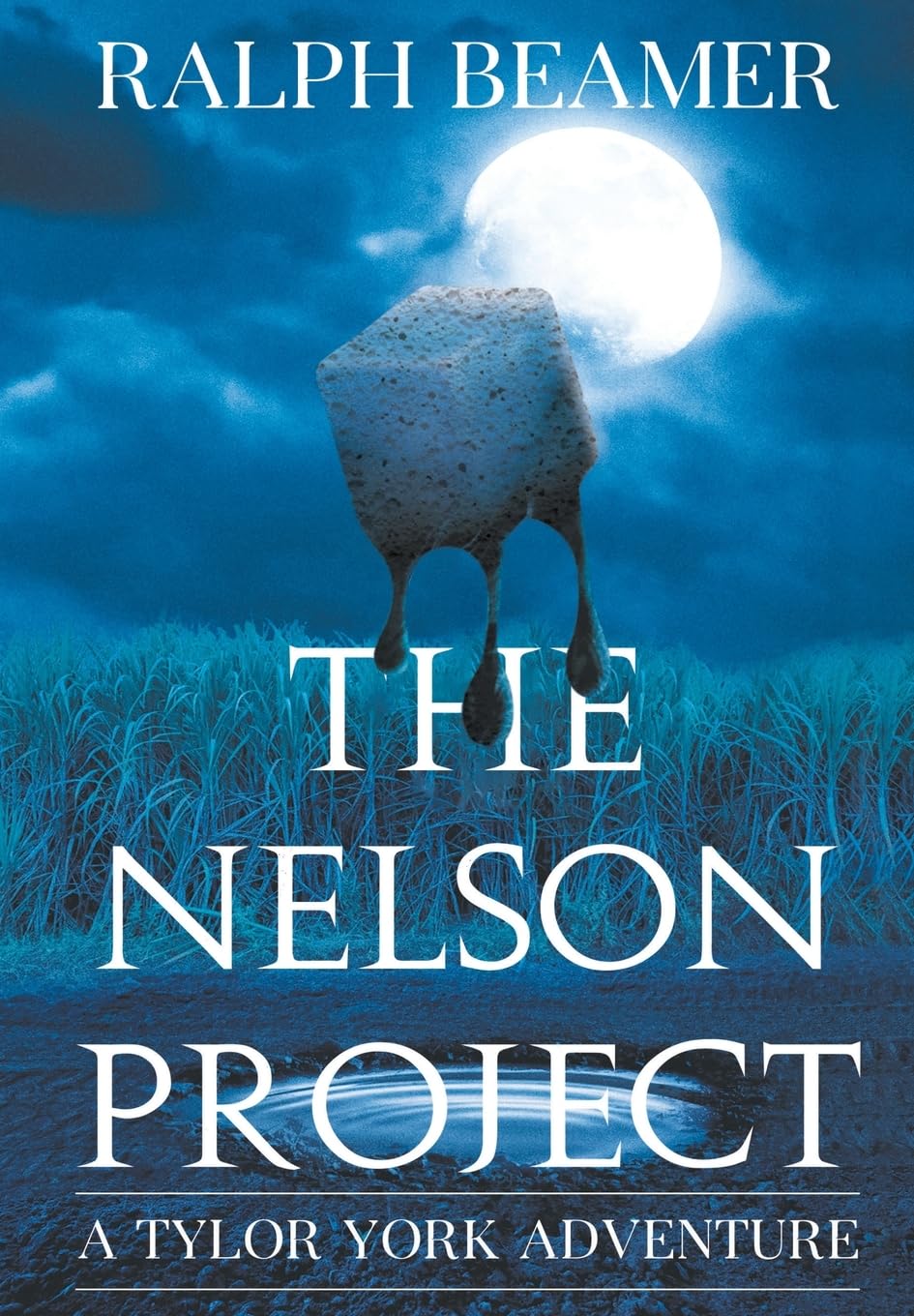Amazon.com: The Nelson Project: 9781800167728: Beamer, Ralph: Books