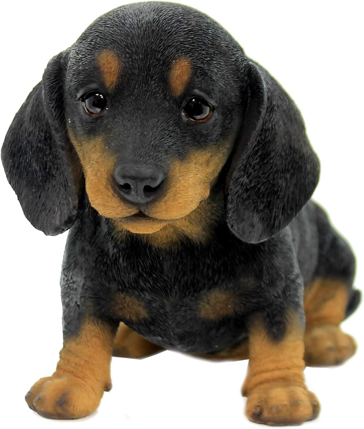 Amazon.com: Pacific Giftware PT Realistic Look Black and Tan Rottweiler ...