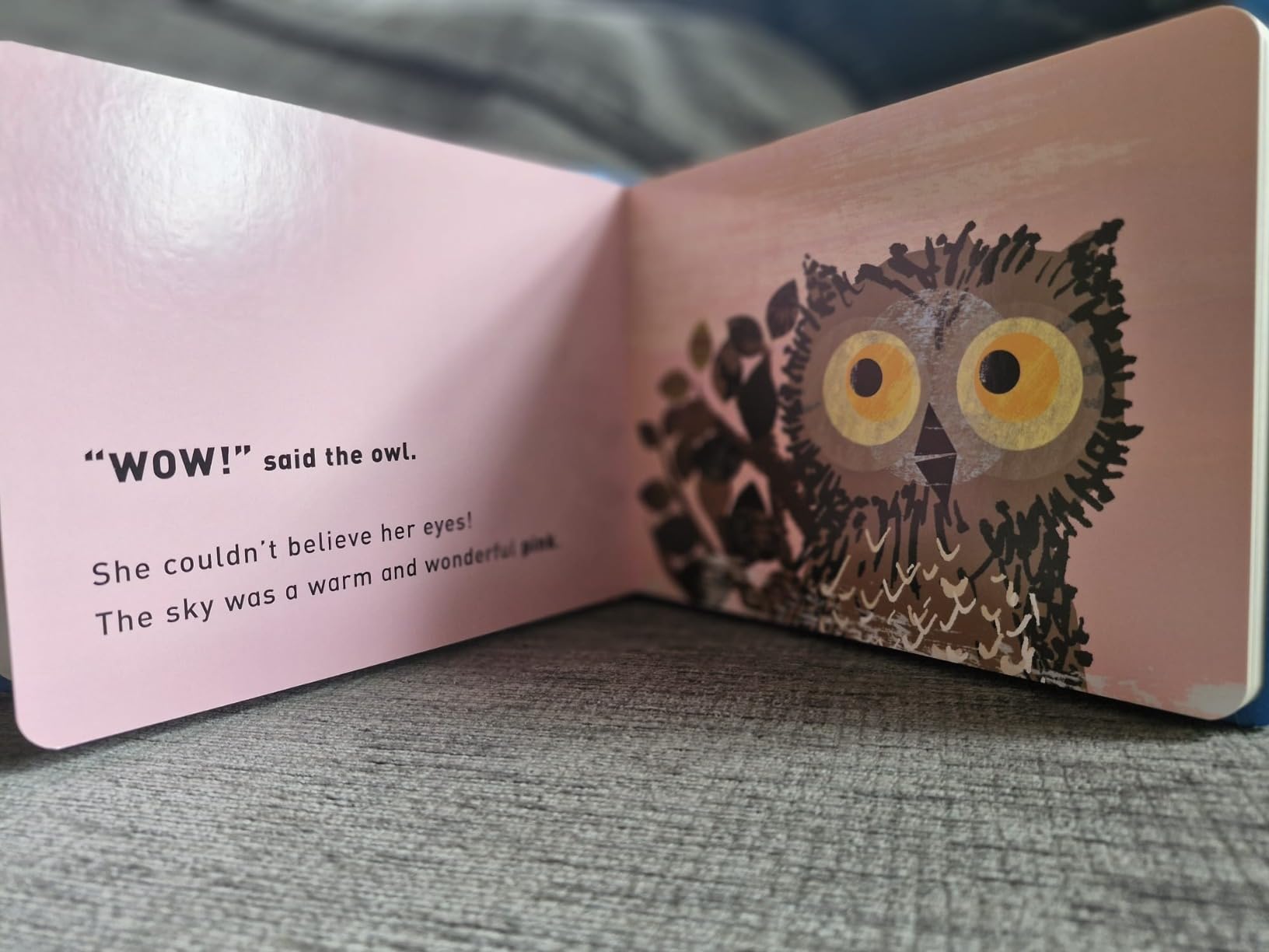 WOW! Said the Owl: A First Book of Colours : Hopgood, Tim: Amazon.co.uk ...