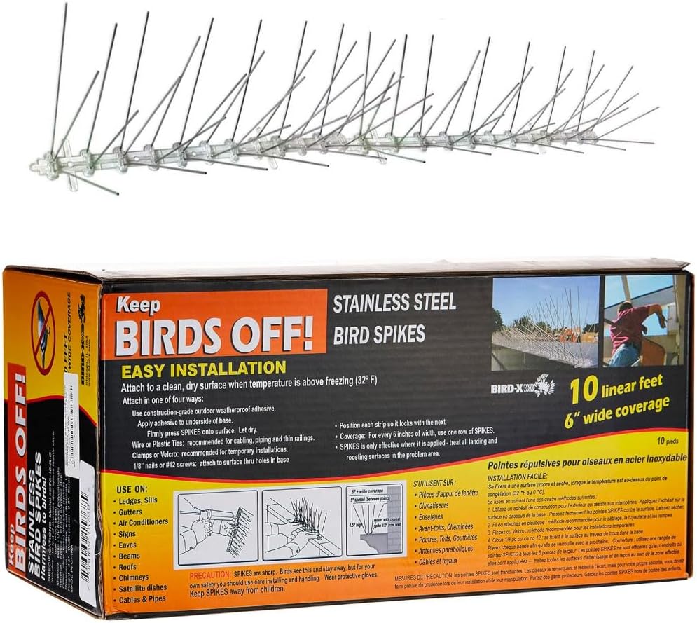 Amazon.com : Bird-X Stainless Steel Bird Spikes, 6-inch Regular Wide ...