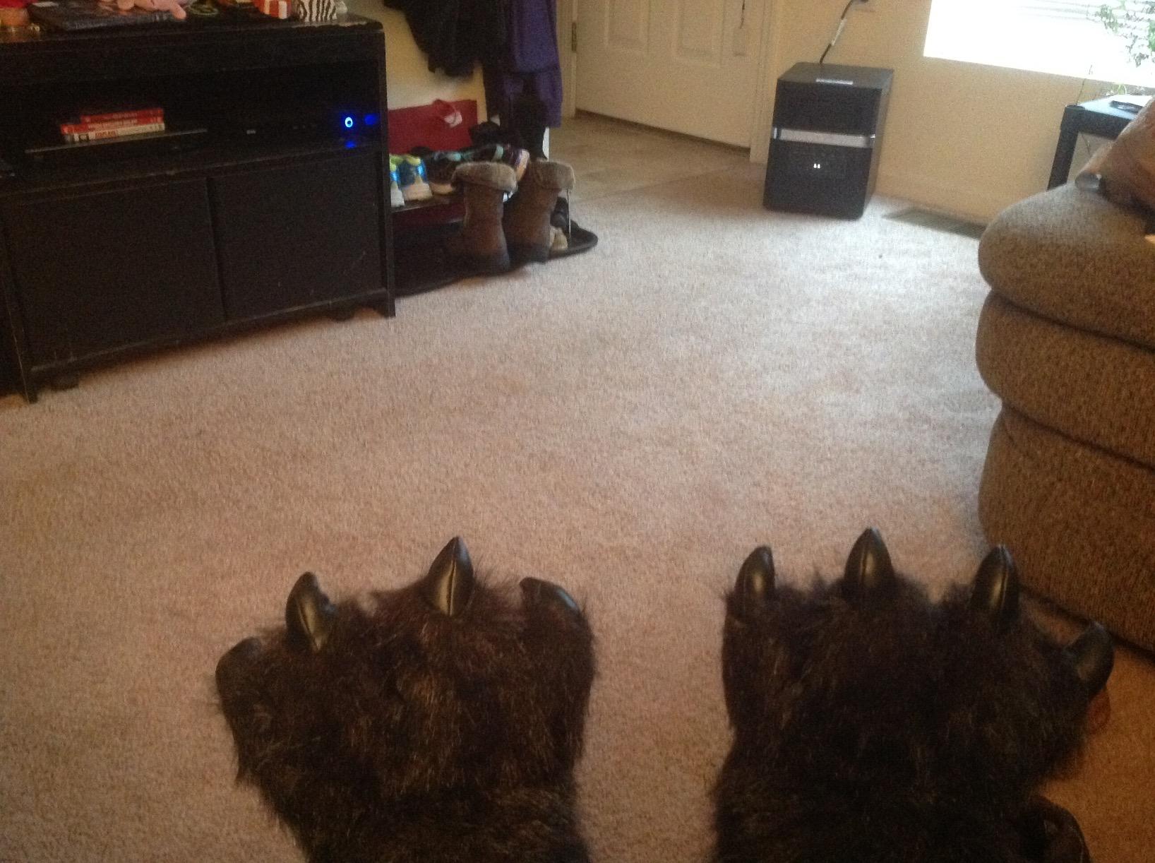 Amazon.com: Wishpets 12" Furry Black Slippers Plush Toy, Medium