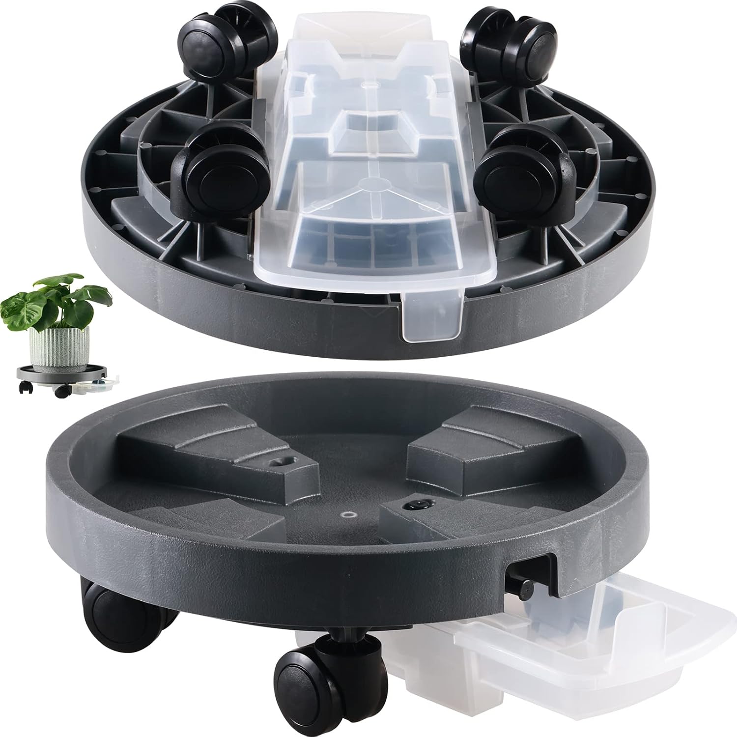 Amazon.com: KvyusFlourish Plant Caddy with Wheels 13 Inch Rolling Plant ...