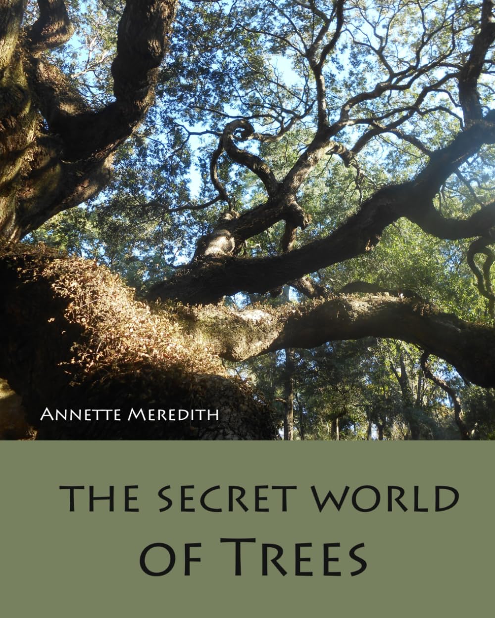The Secret World of Trees: Meredith, Annette: 9781523428243: Amazon.com ...