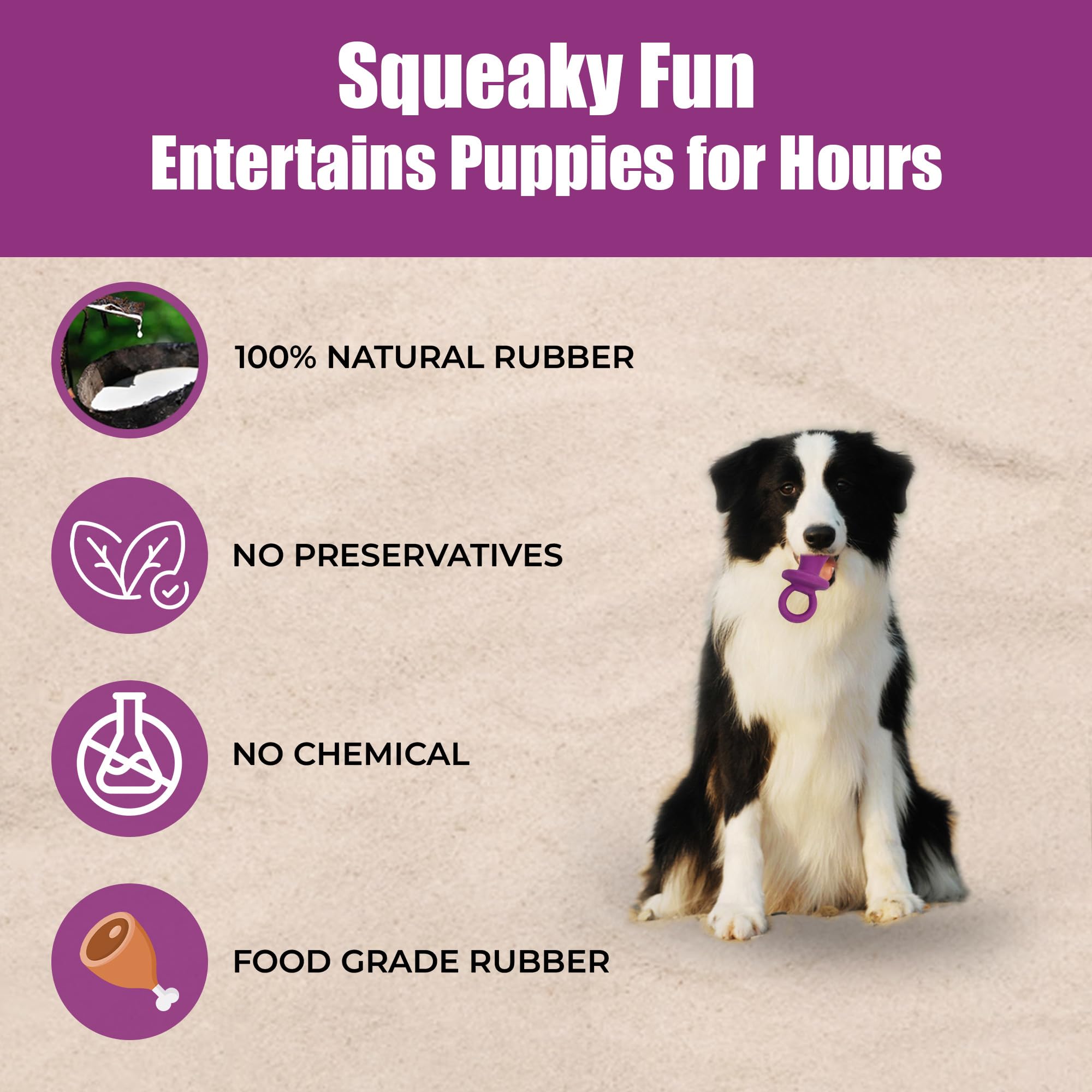 Snapklik.com : SPOT Puppy Pacifier Latex Dog Toy Cute Binky-Shaped Chew ...