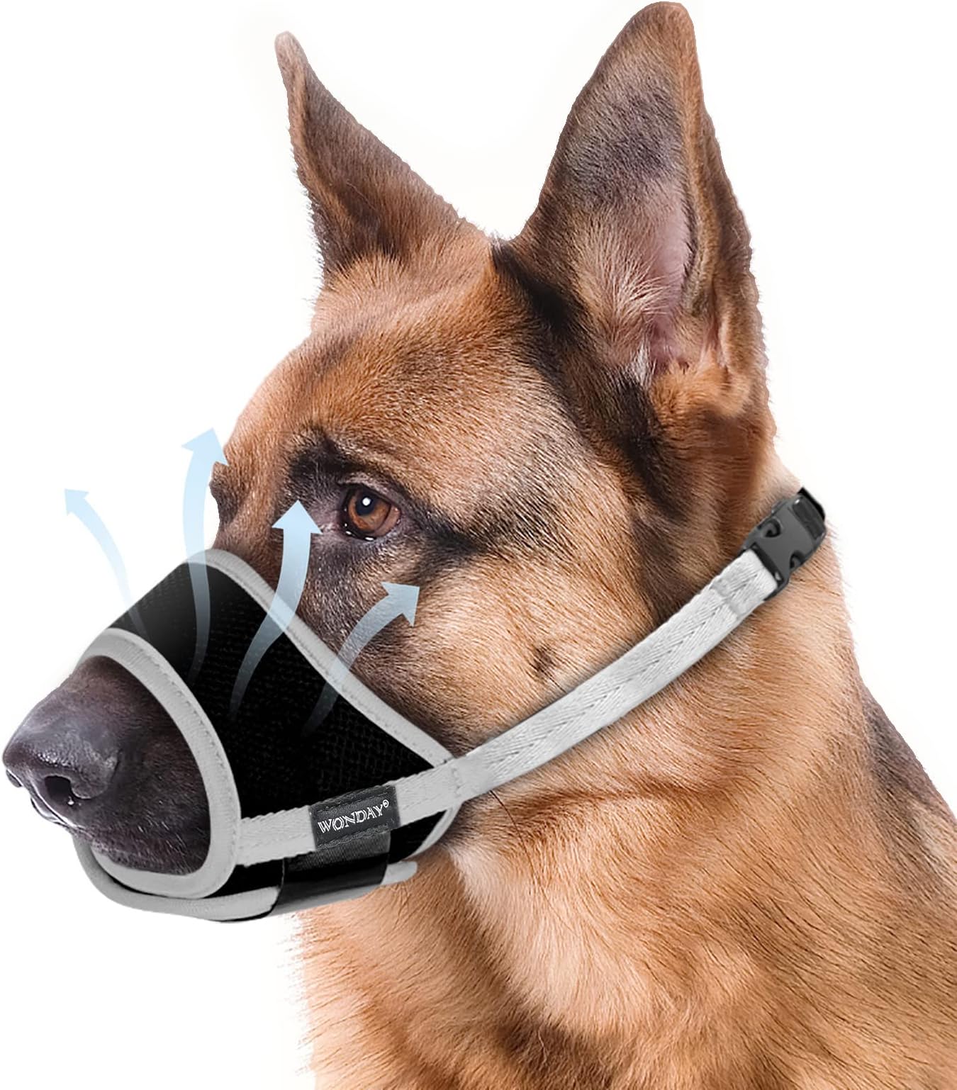 Amazon.com : Leekalos Dog Muzzle Anti Biting Barking Chewing,Air Mesh ...