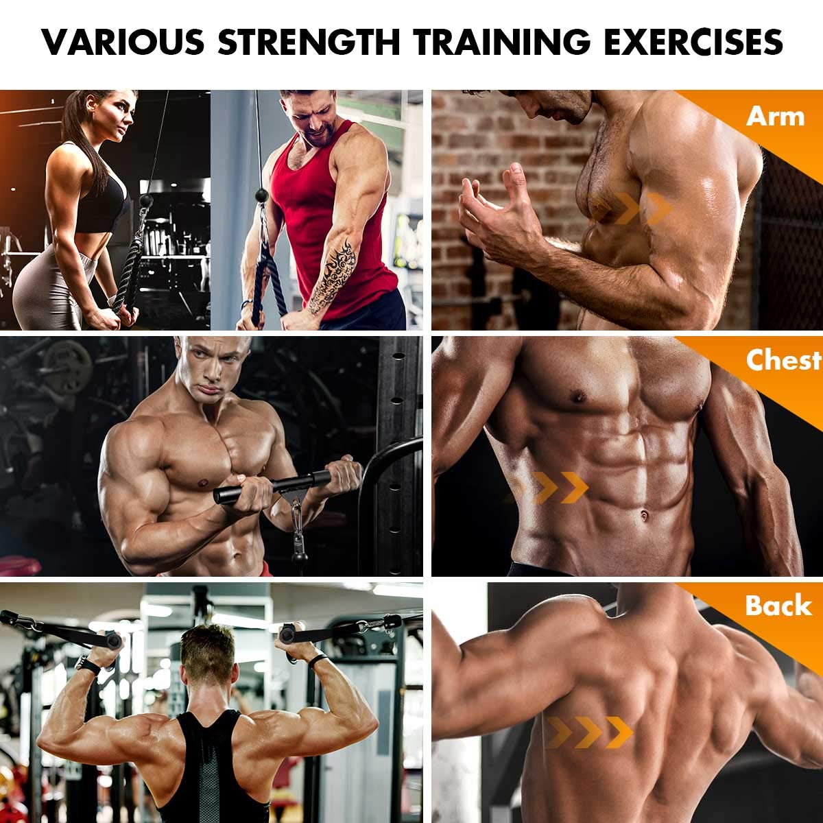 Cable Weight Pulley System Gym, Cable Pulley Attachments for Gym ...