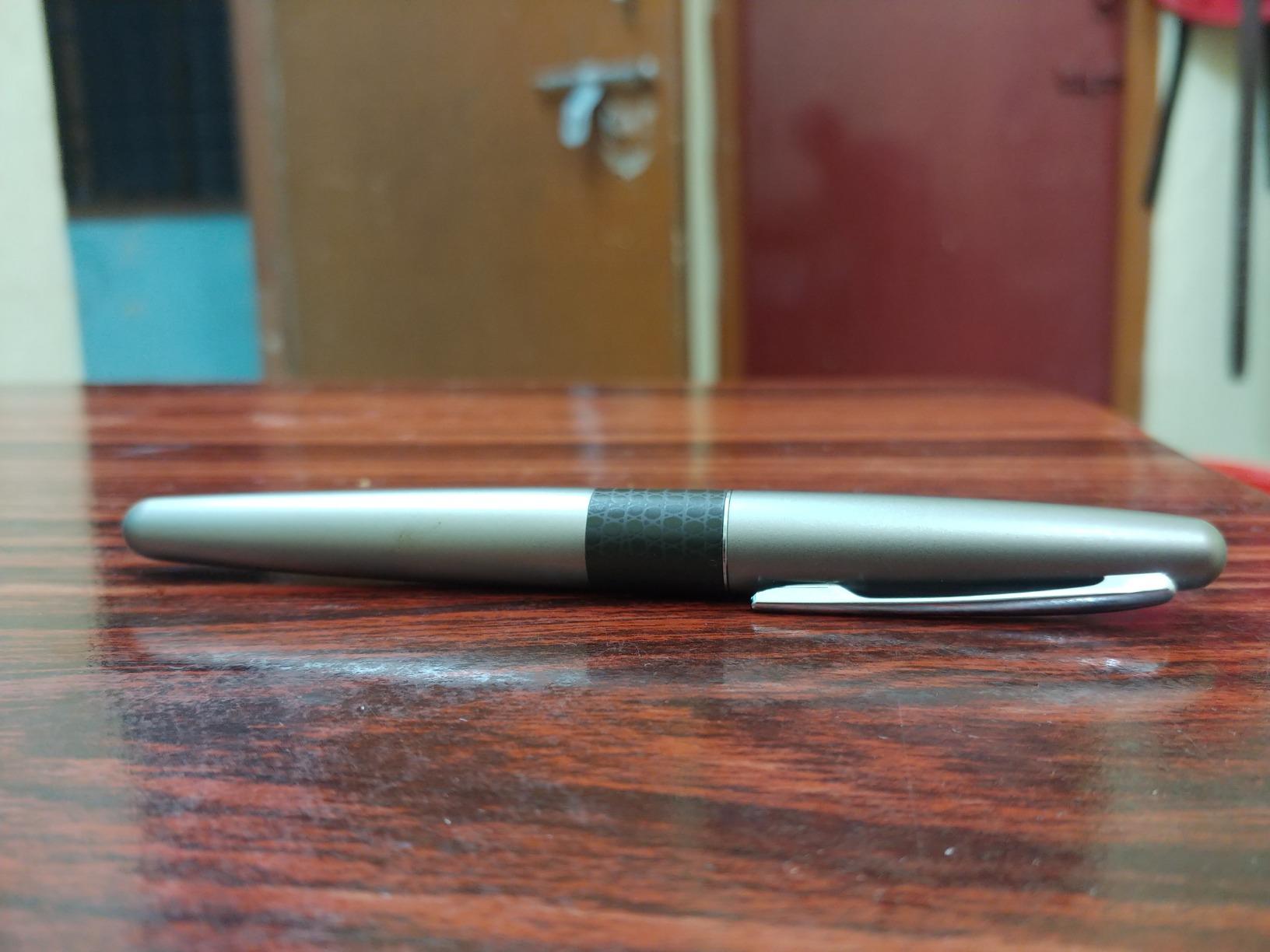 Pilot White Tiger Design Body Fountain Pen Fine Nib, Black Ink : Amazon ...