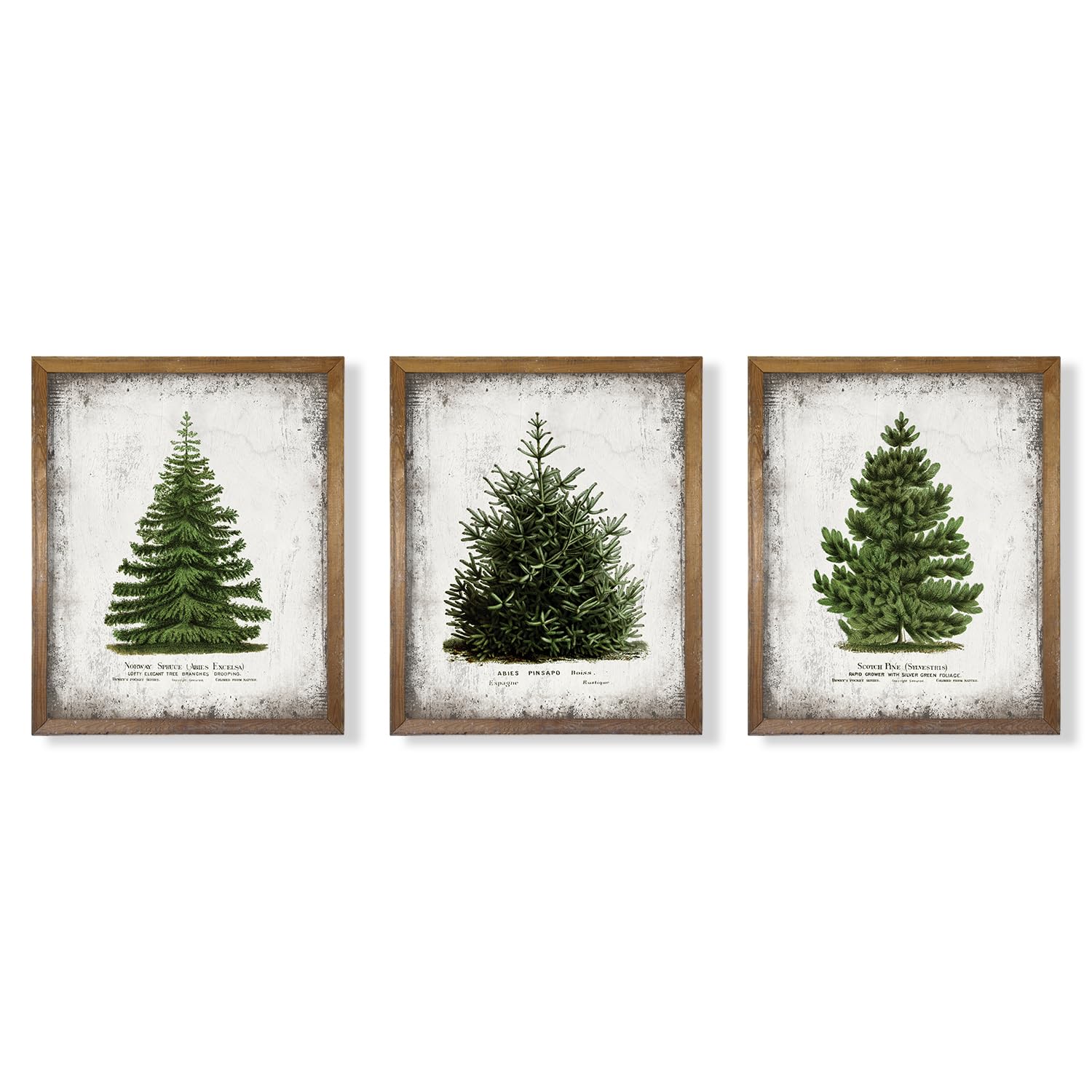 Amazon.com: Rustic Vintage Farmhouse Holiday Wall Decor - Christmas ...