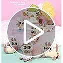 Amazon.com: maidimiao Nobeko Azukican Azukisan Cat Daily Life Series3 ...