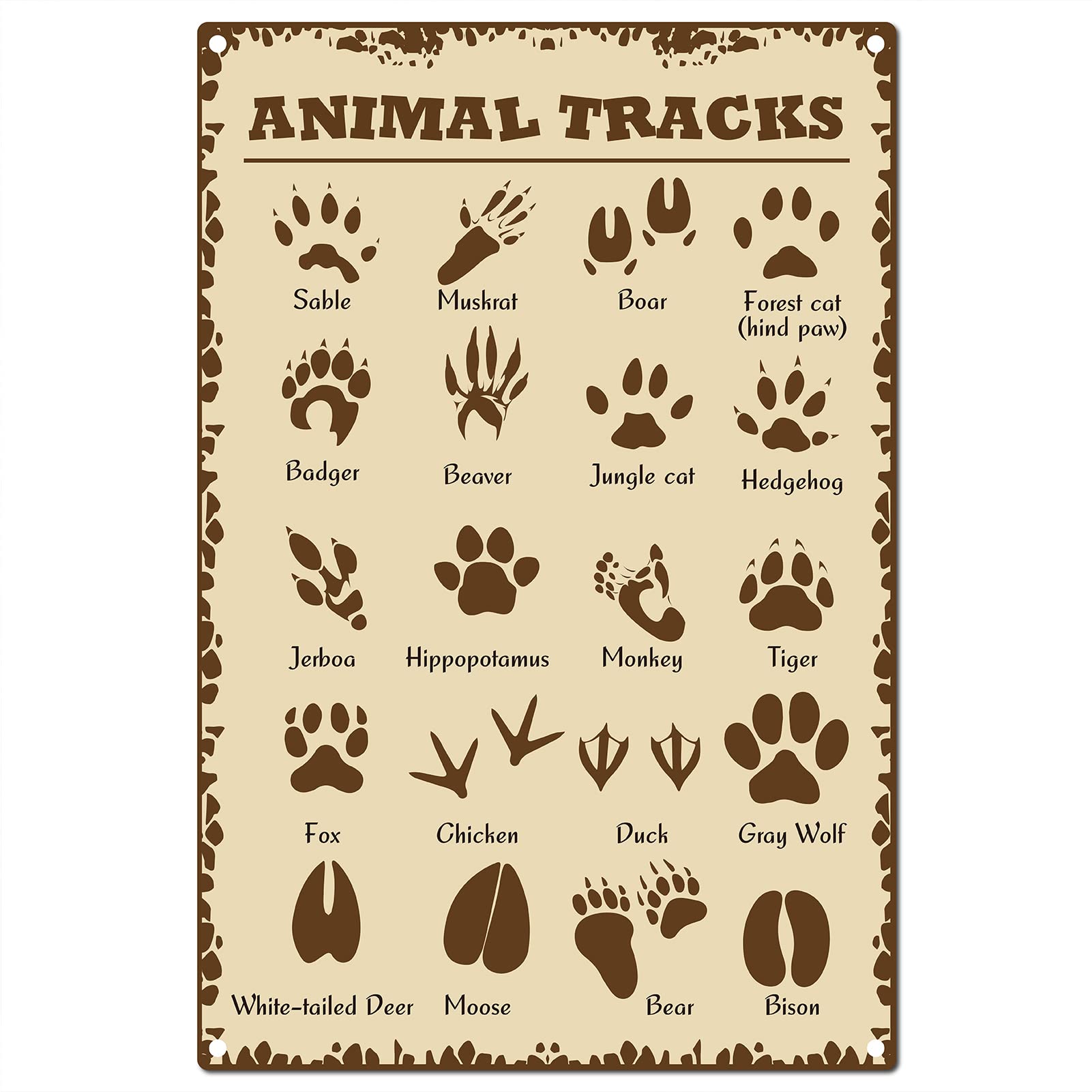 Animal Footprints With Names