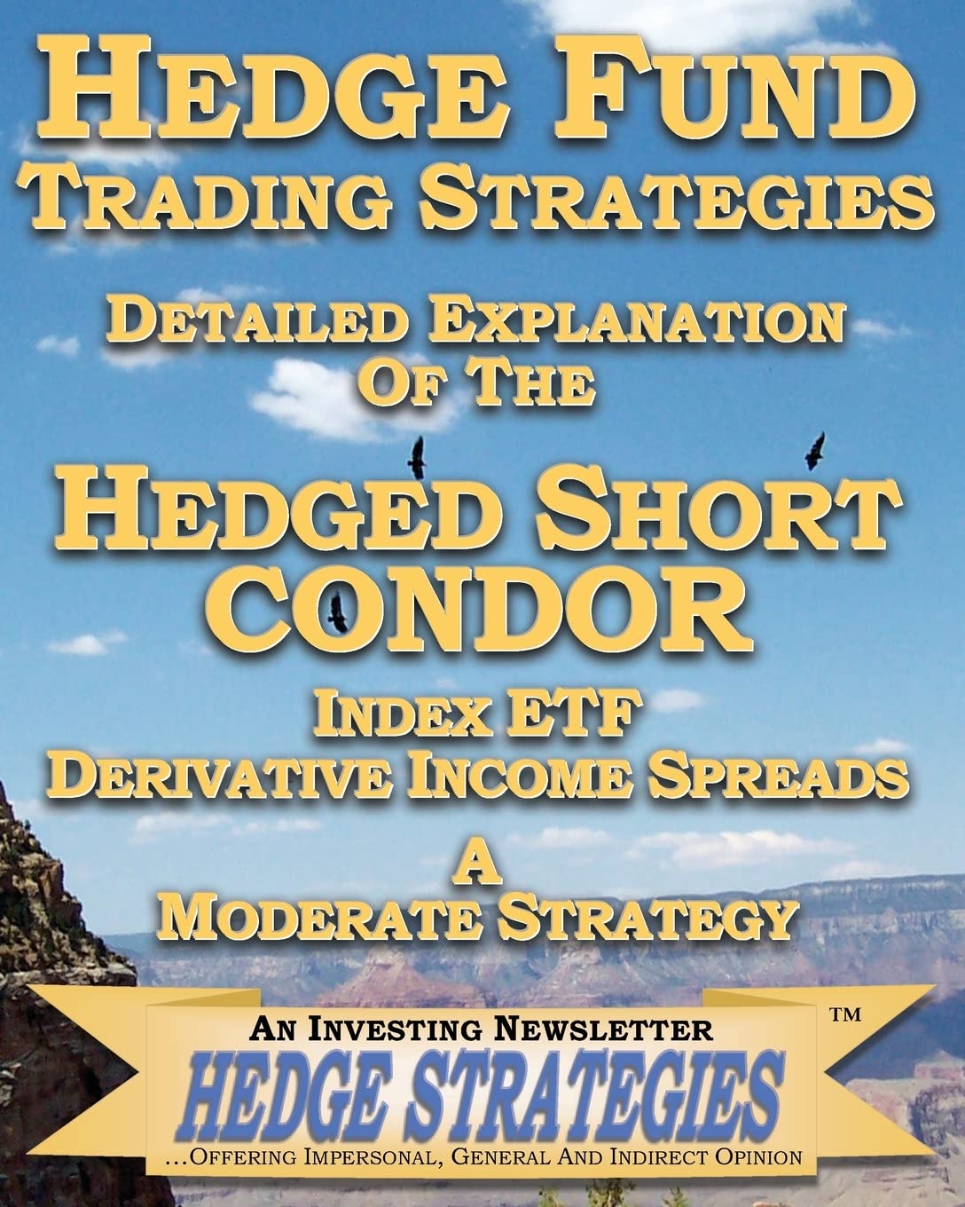 Hedge Fund Trading Strategies Detailed Explanation Of The Hedged Short ...