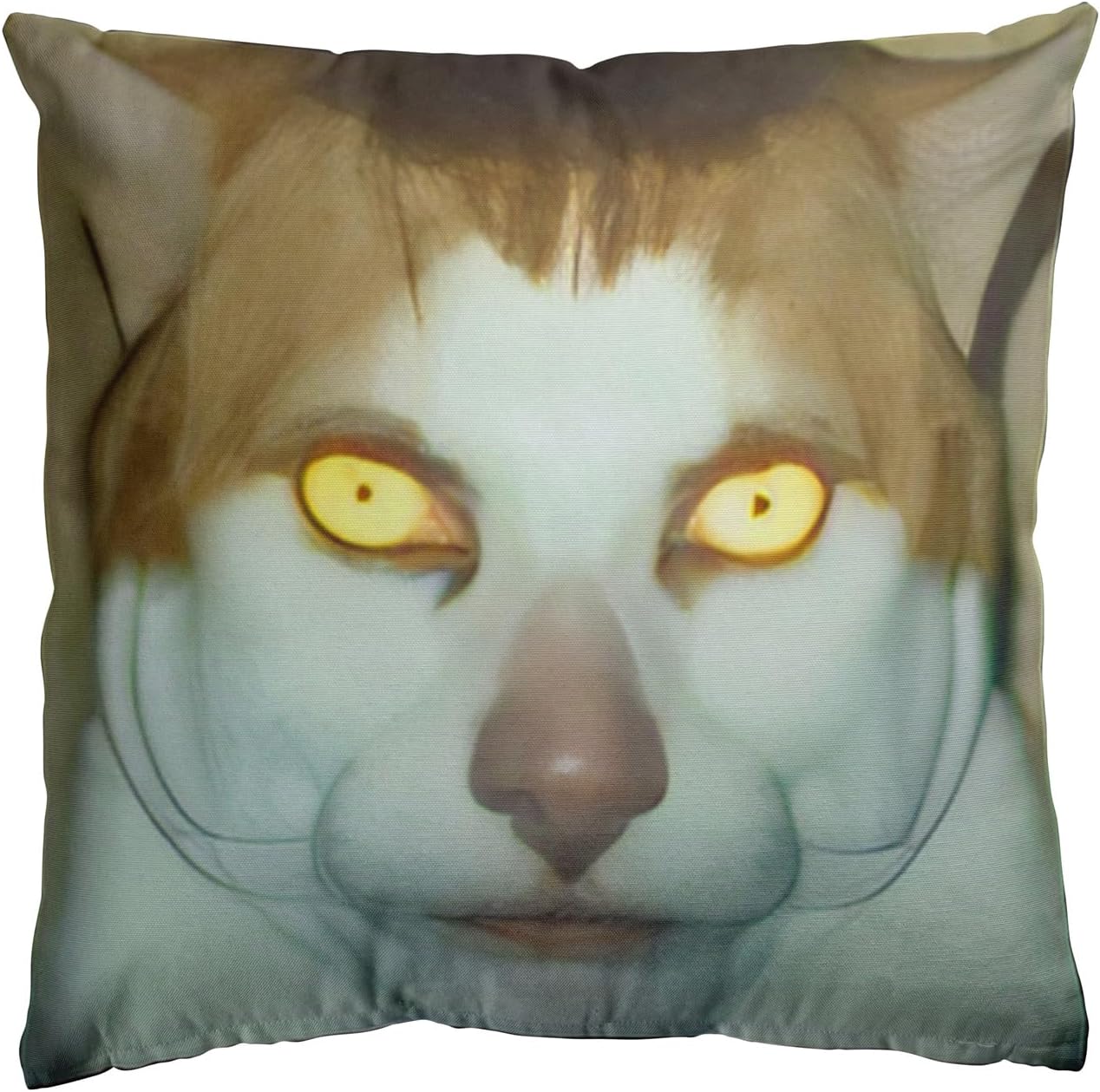 Gaslight Gatekeep Girlboss Monday Left Me Broken Cat, Mr. Peebles ...