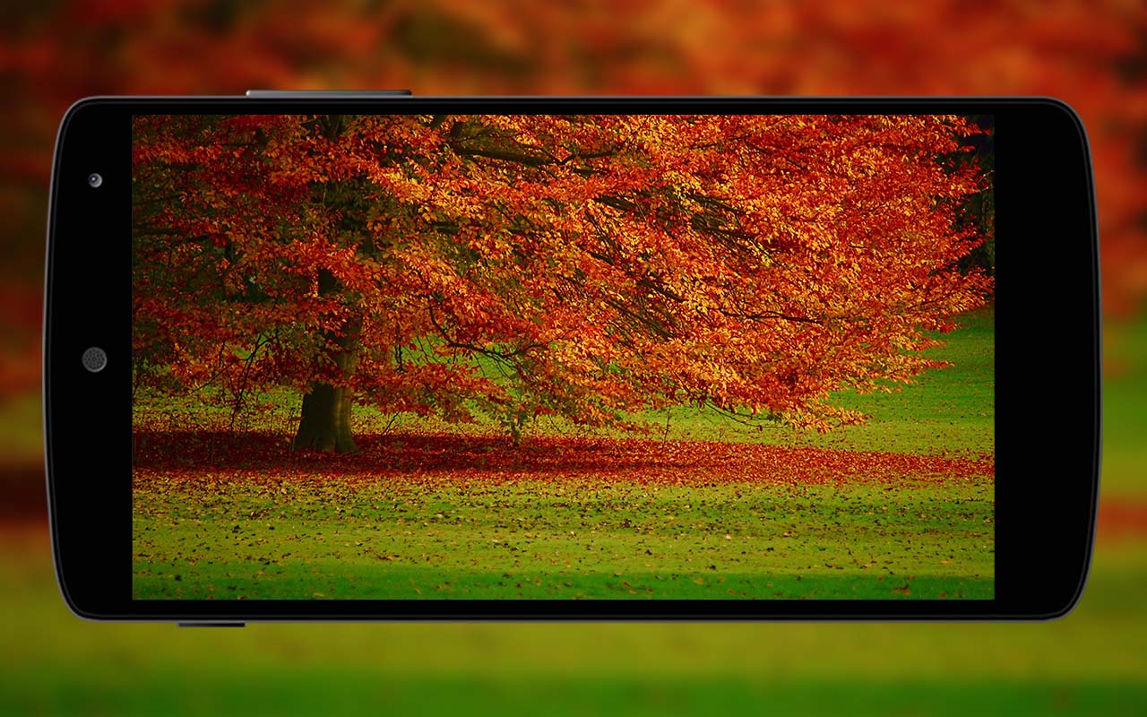 Nature Wallpaper - App on Amazon Appstore