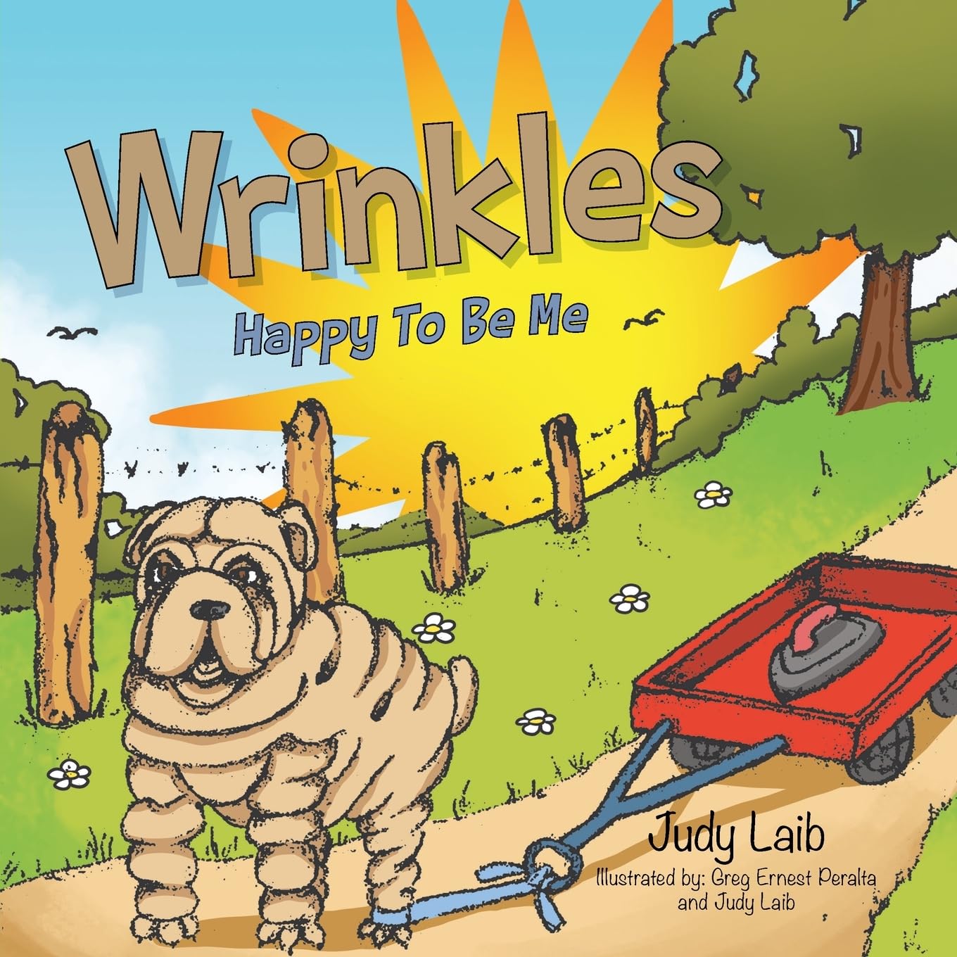 Amazon.com: Wrinkles: Happy To Be Me: 9798890416070: Laib, Judy: Books