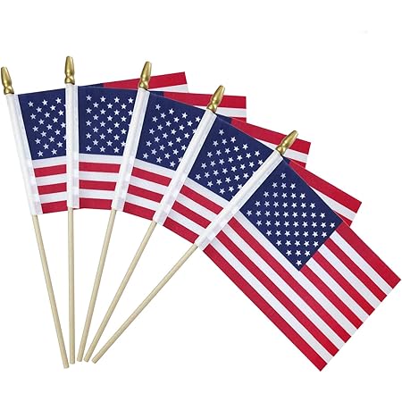 Amazon.com : Uelfbaby 12 Pack Small American Flags on Stick, Small US ...