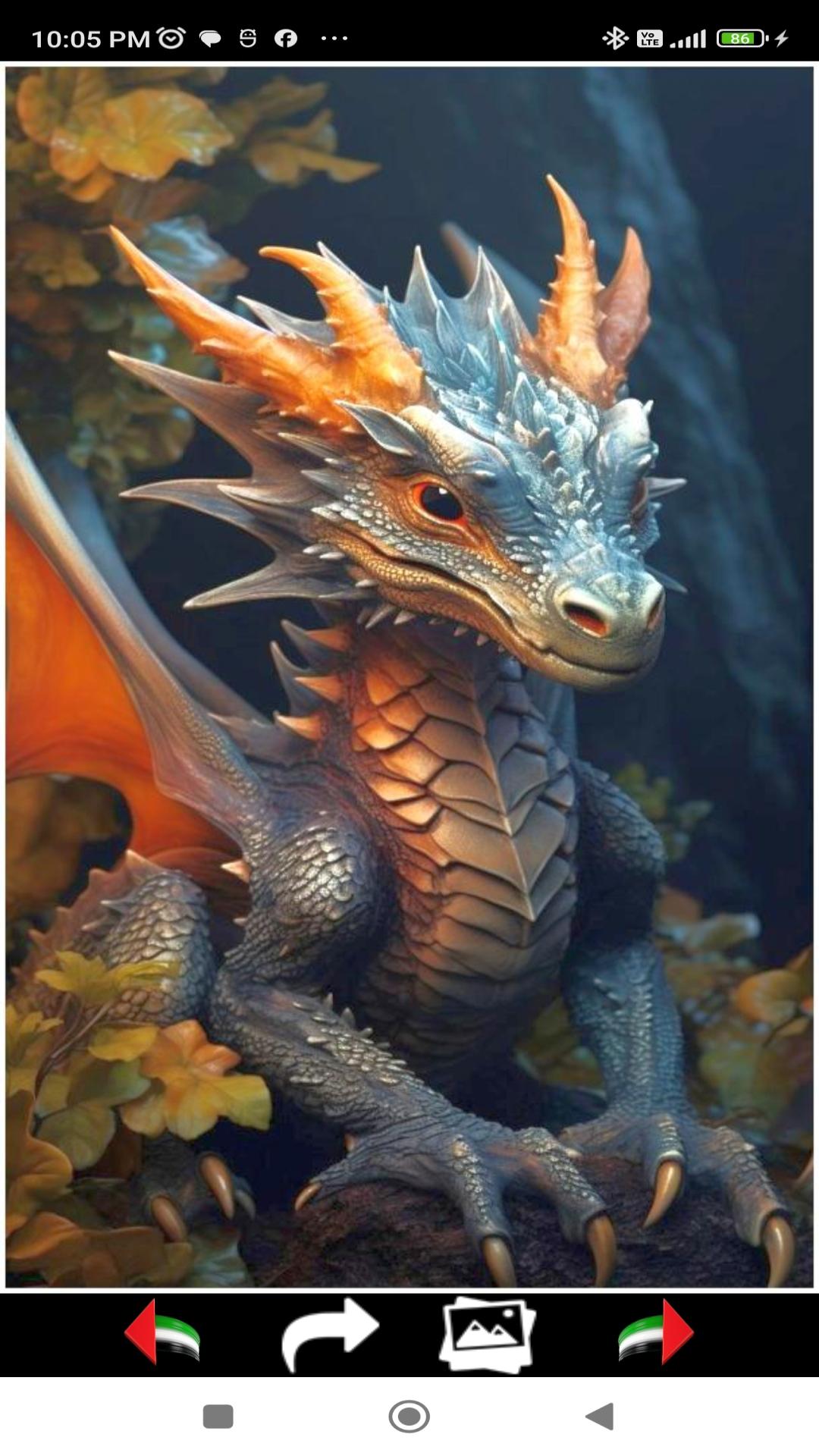 Dragons Wallpapers - App on Amazon Appstore