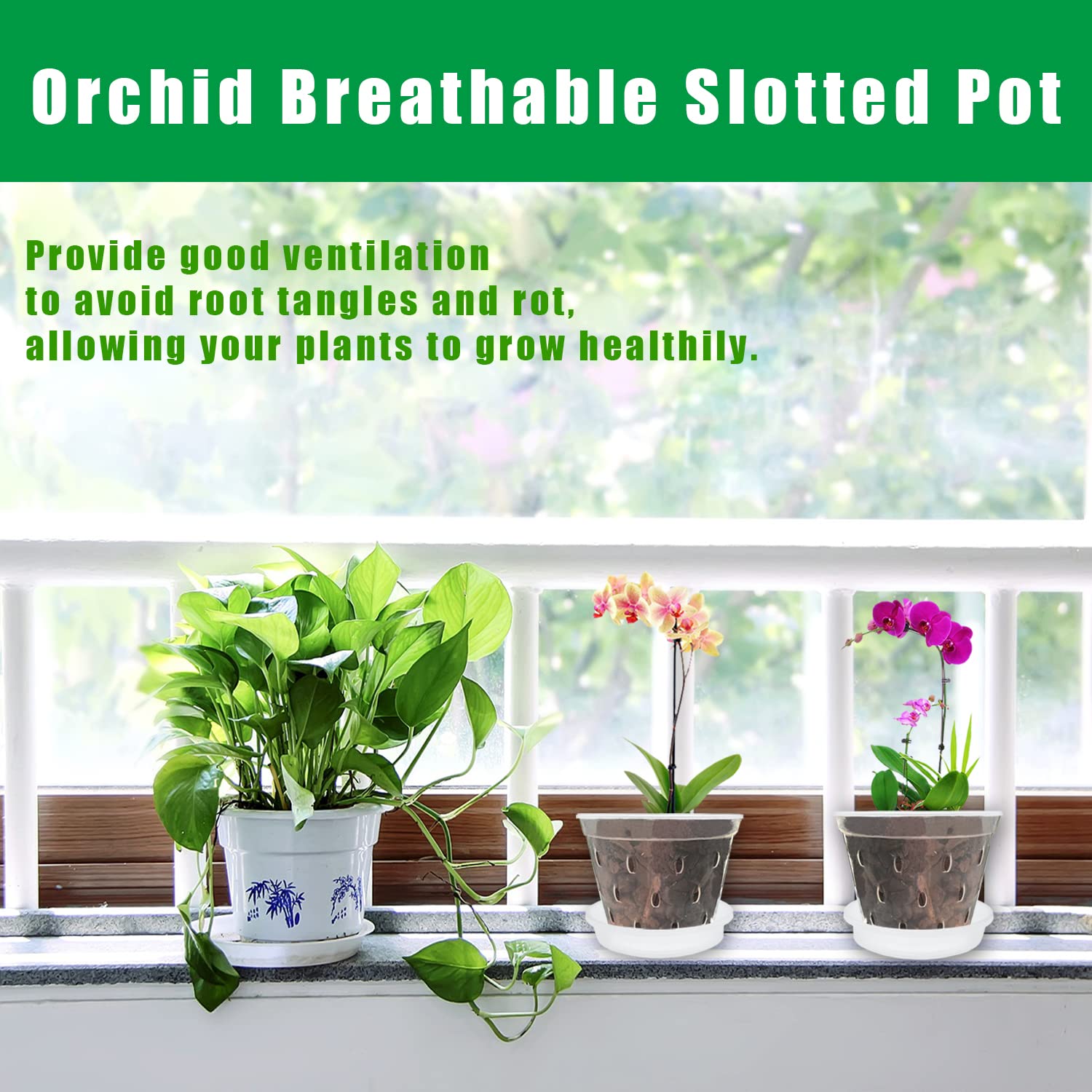 Buy Orchid Pots,5.5 inch Plastic Orchid Pots with Holes and Saucers ...