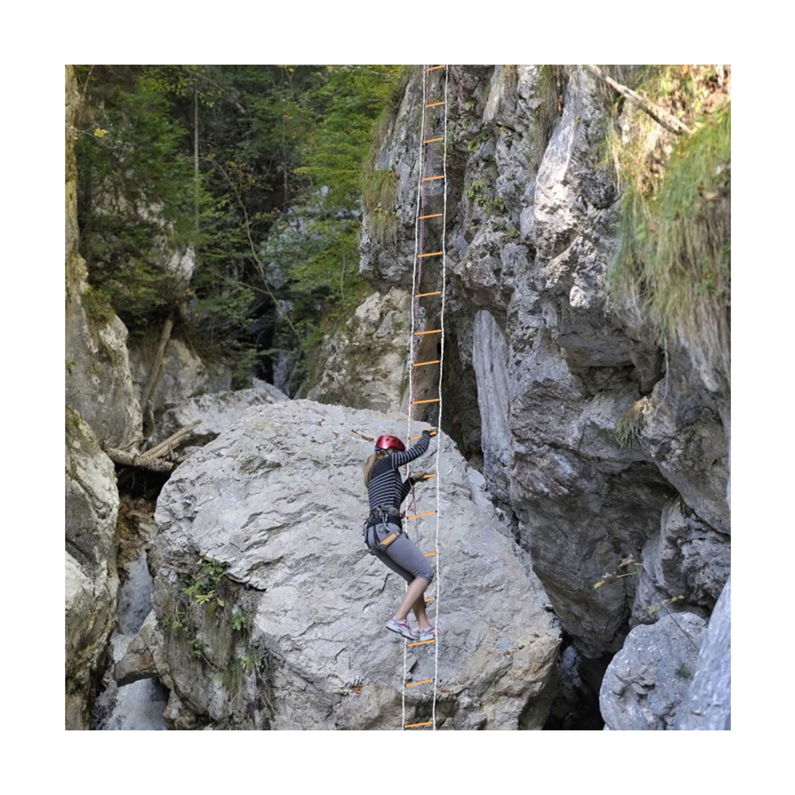 Buy Climb the Ladder Fire Escape Ladder 1-6 Story Emergency Evacuation ...