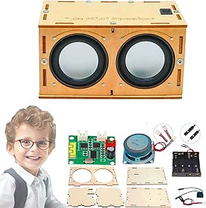Amazon.com: Generic DIY Mini Subwoofer,DIY Bluetooth Speaker Kit,Build ...