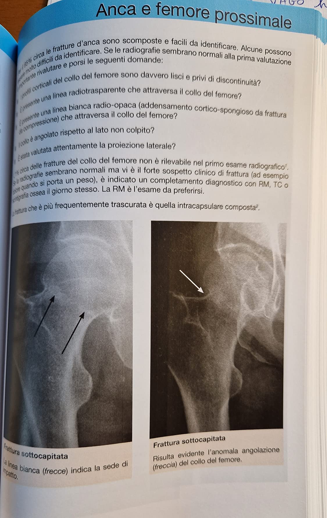 Radiologia in urgenza ed emergenza : Raby, Nigel, Berman, Laurence ...