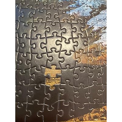 HUADADA Challenging 1000-Piece Jigsaw Puzzle: Northern India | Ubuy