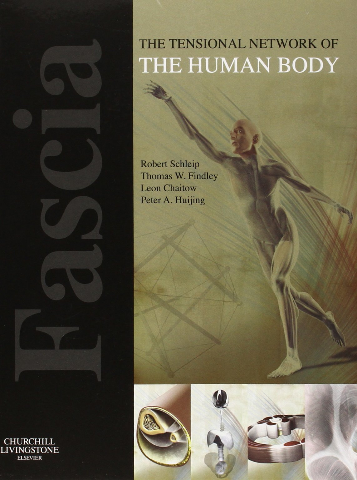Fascia: The Tensional Network of the Human Body: The science and ...