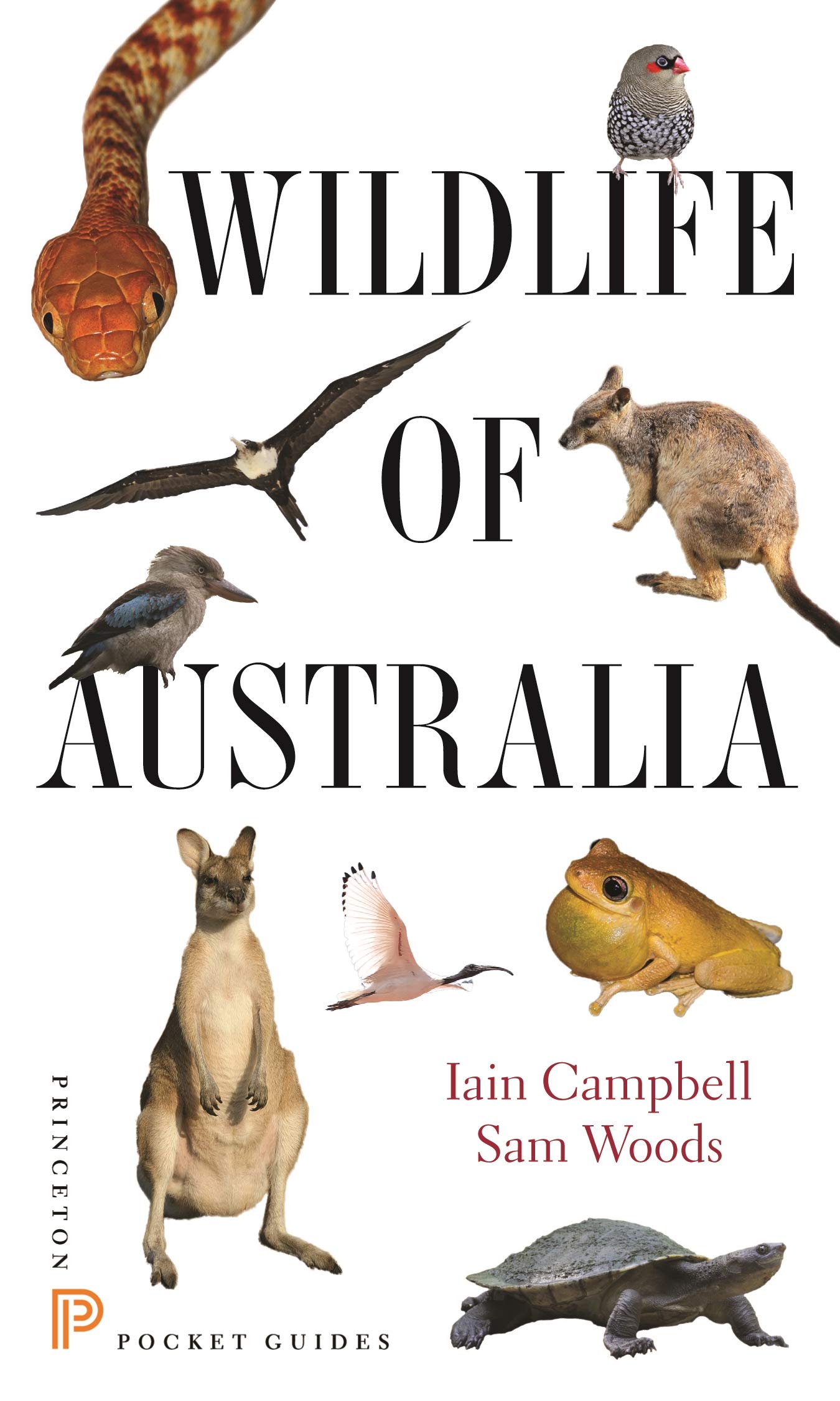 Wildlife of Australia (Princeton Pocket Guides, 10): Campbell, Iain ...