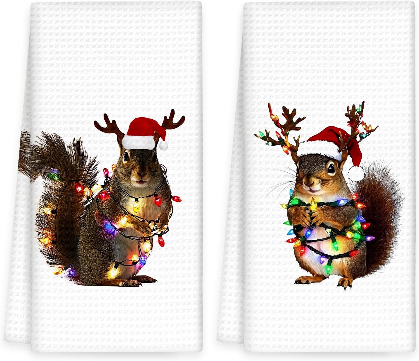 Amazon.com: OINDADE Christmas Squirrel Kitchen Towels Set of 2, Gifts ...