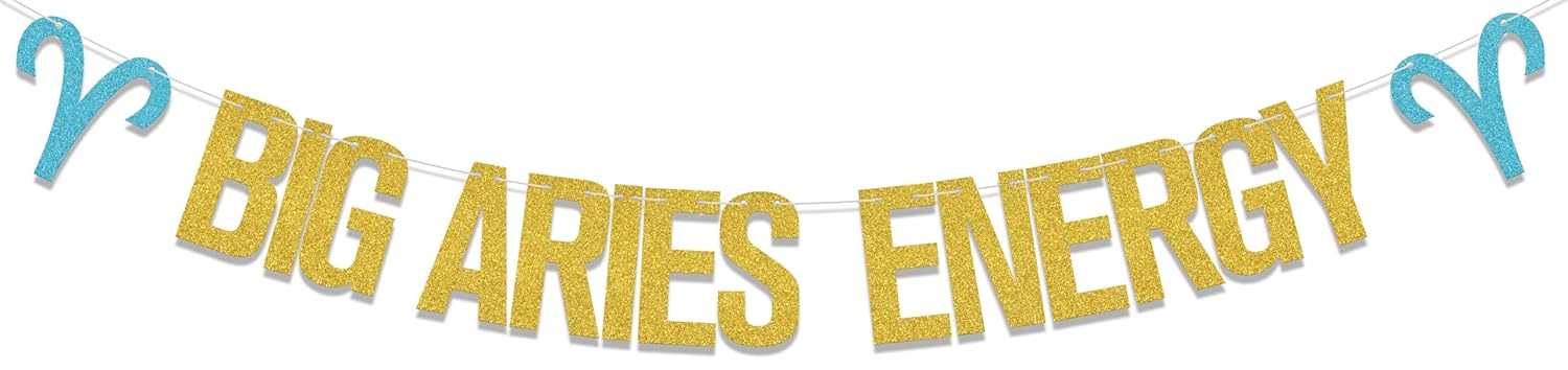 Amazon.com: Big Aries Energy Banner, Aries Birthday Party Decorations ...