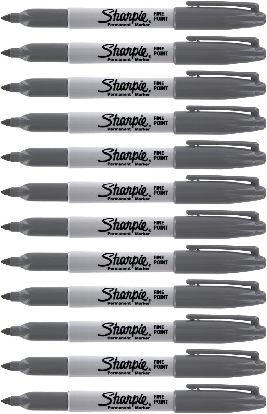 Sharpie Permanent Marker, Fine Point, Slate Grey, 12-Count : Amazon.ca ...