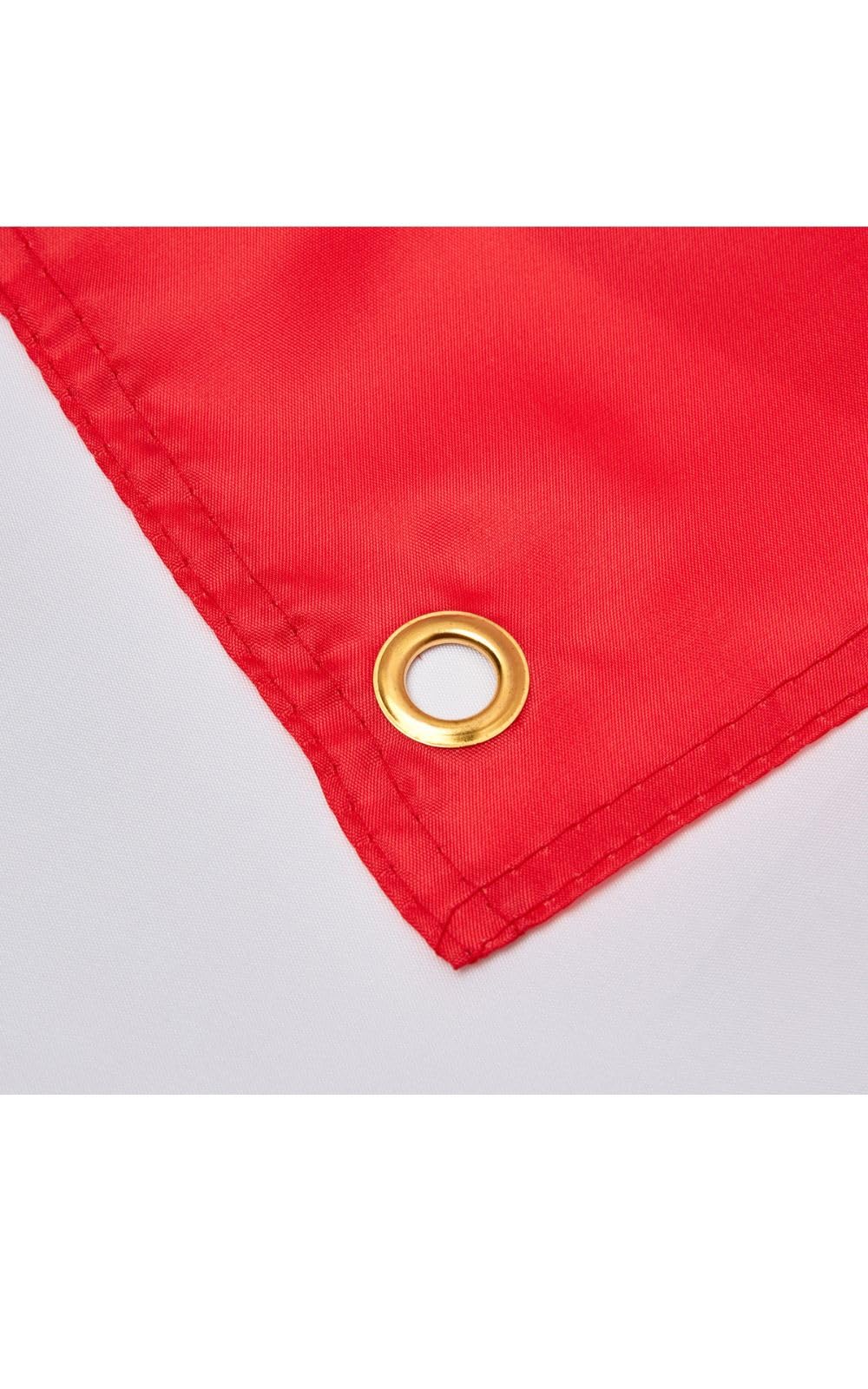 Runesol Hampshire Flag, 91x152cm, 3ft x 5ft, 4 Grommets, Eyelet In ...