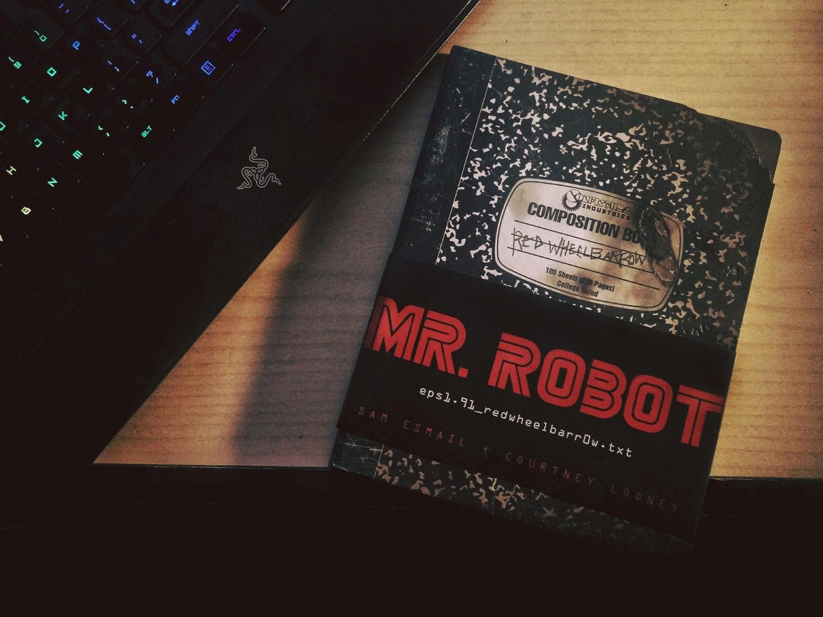 Mr. Robot: Red Wheelbarrow : Esmail, Sam, Looney, Courtney: Amazon.it ...