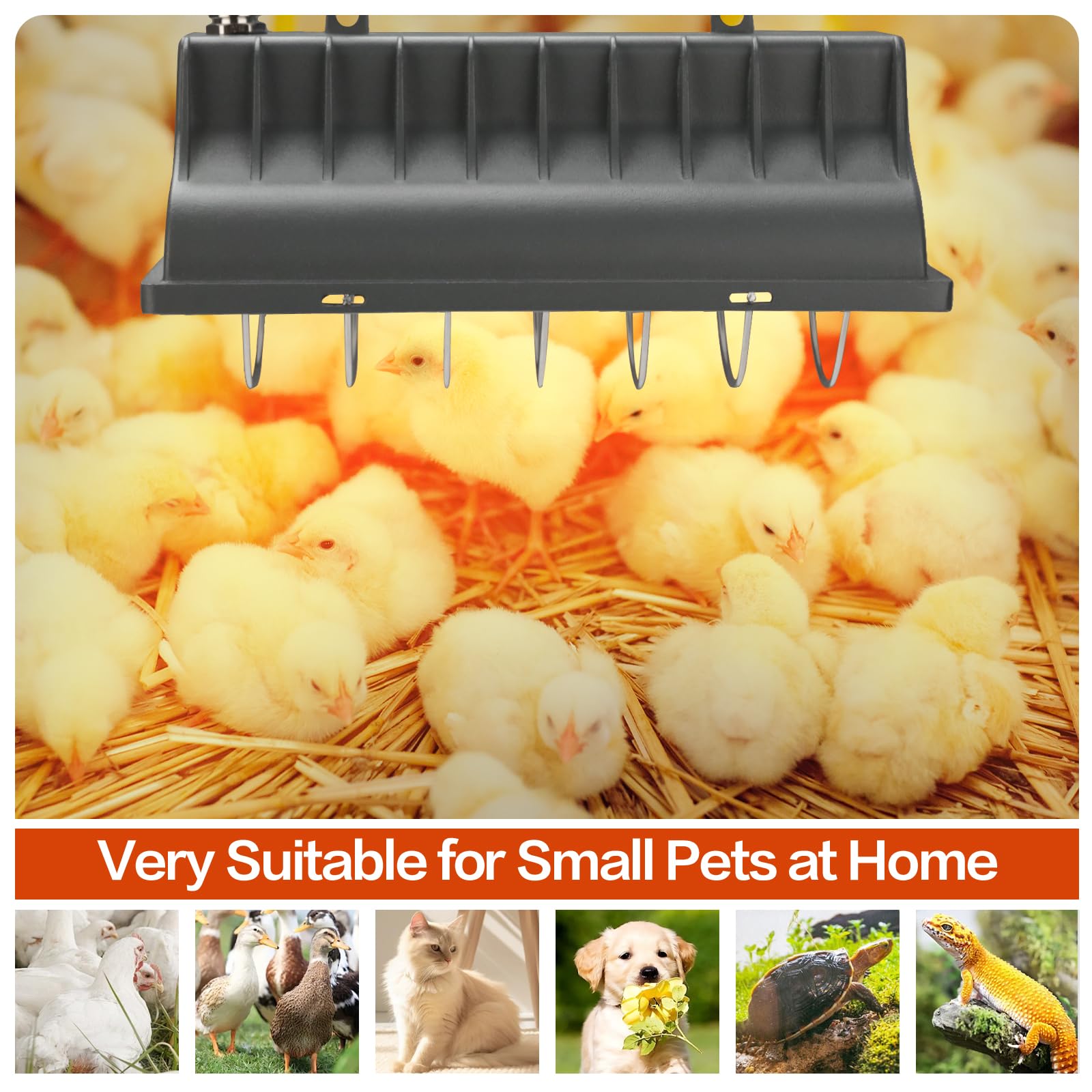 Snapklik.com : 250W Chicken Coop Heater For Chicks Ducks Dog Kennel ...