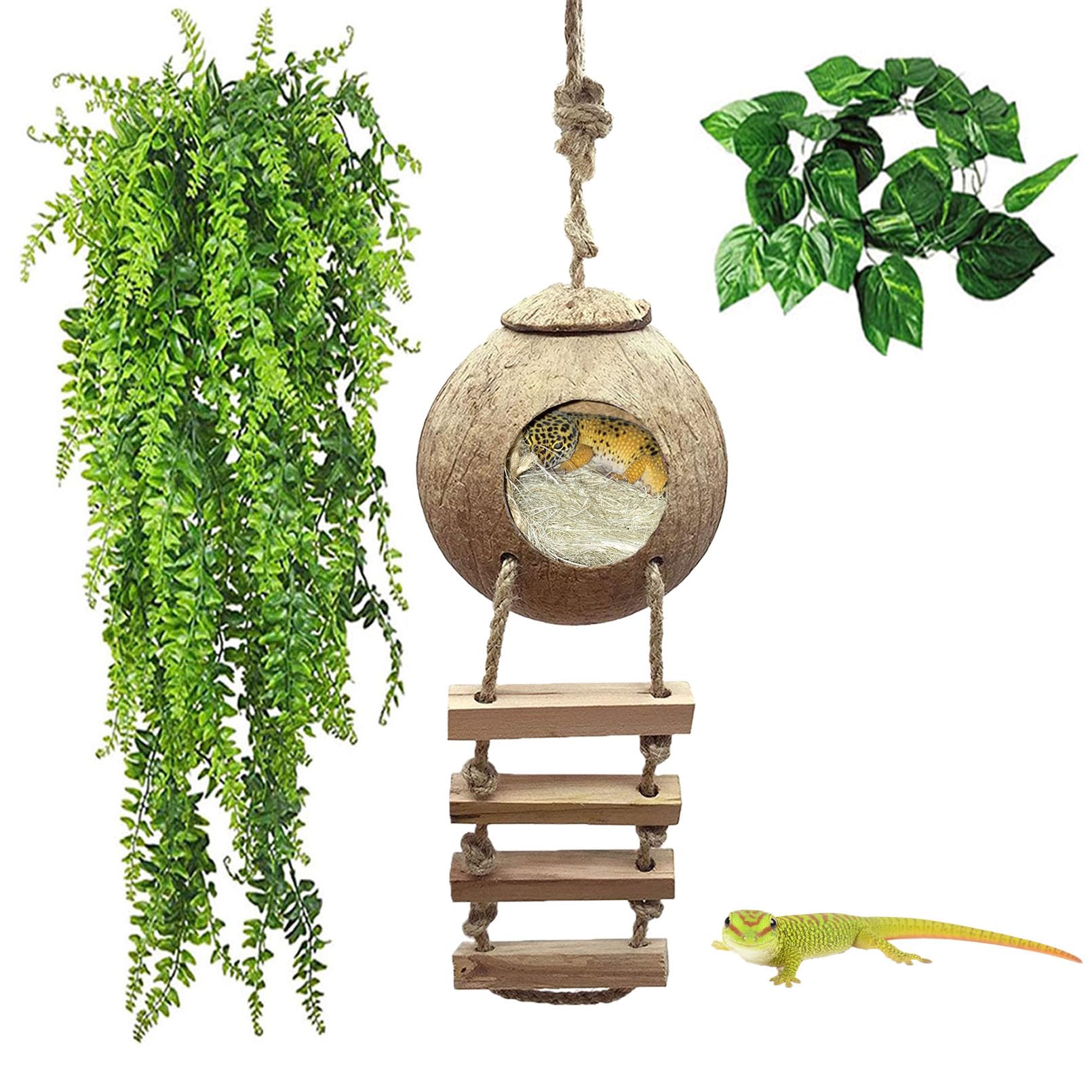 Snapklik.com : Kathson Leopard Gecko Coconut Husk Hut Reptile Habitat ...