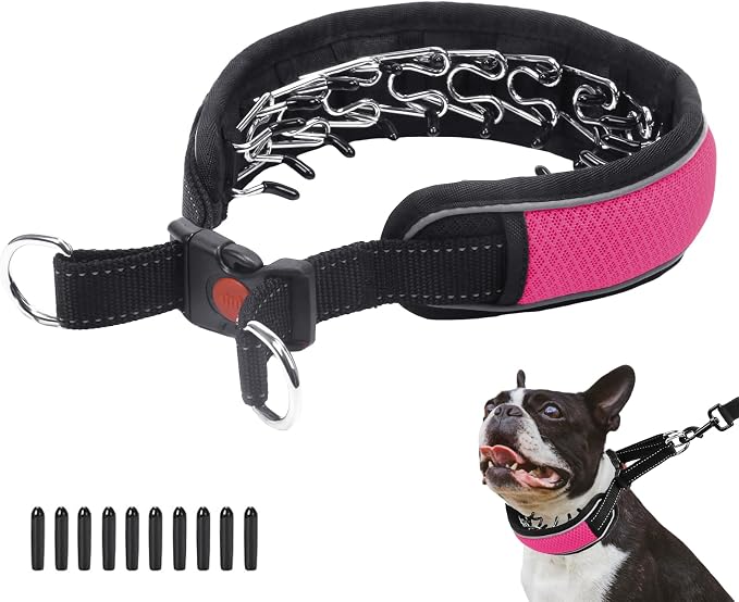 Amazon.com : Martingale Collar for Dogs, Reflective No Pull Dog Collar ...