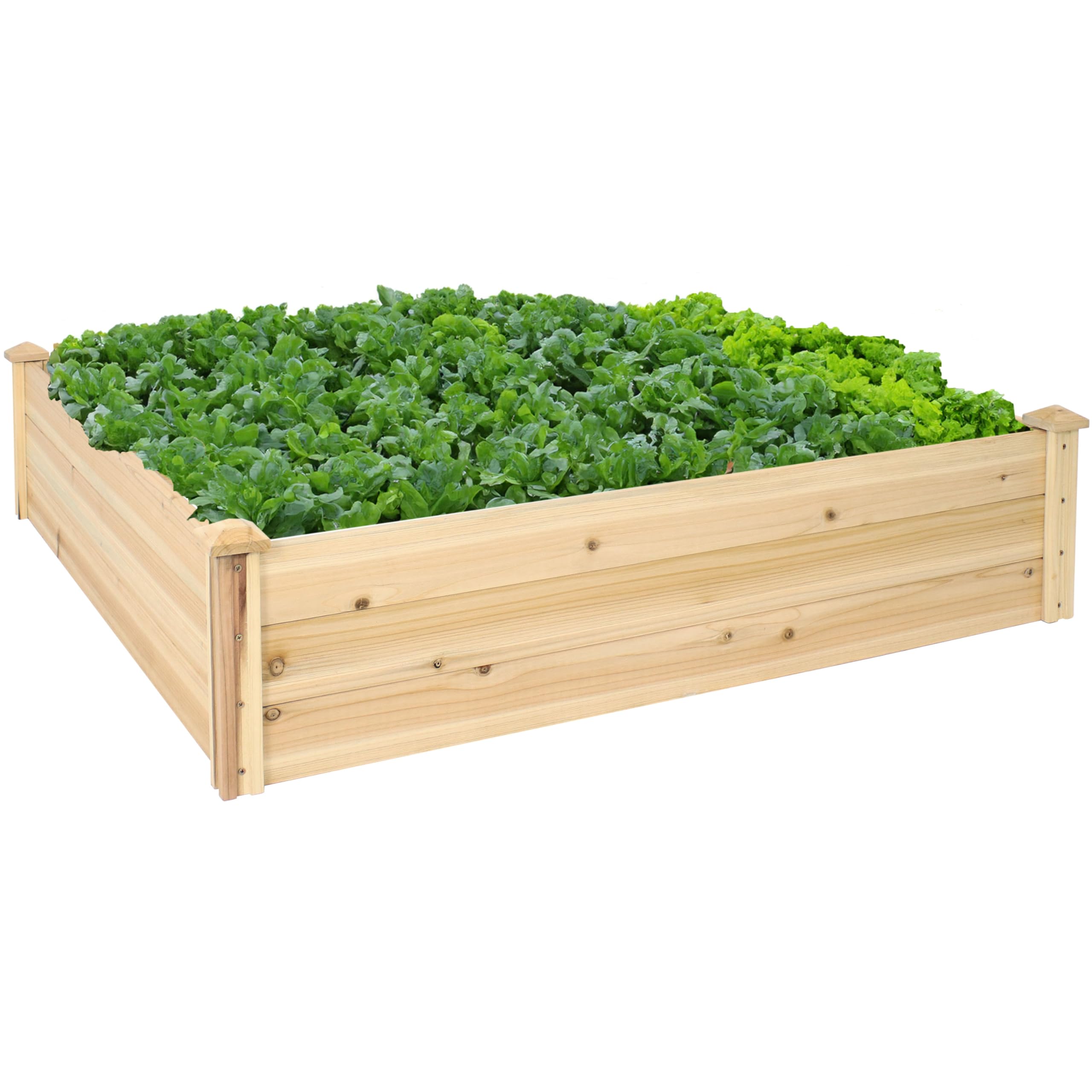 Snapklik.com : Sunnydaze Square Wood Raised Garden Bed - Outdoor ...