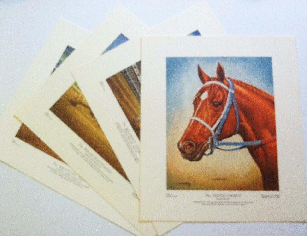Amazon.com: J V Martin Secretariat 4 Lithographs Plates I-IV 1973 1974 ...