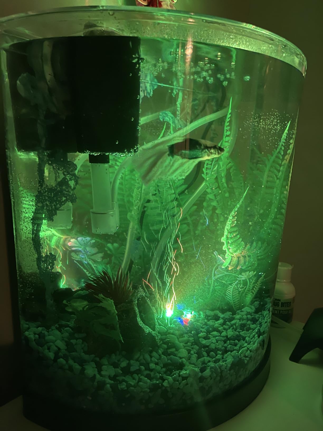 Tetra Bubbling LED Aquarium Kit 3 Gallons, Half-Moon Fish Tank With ...
